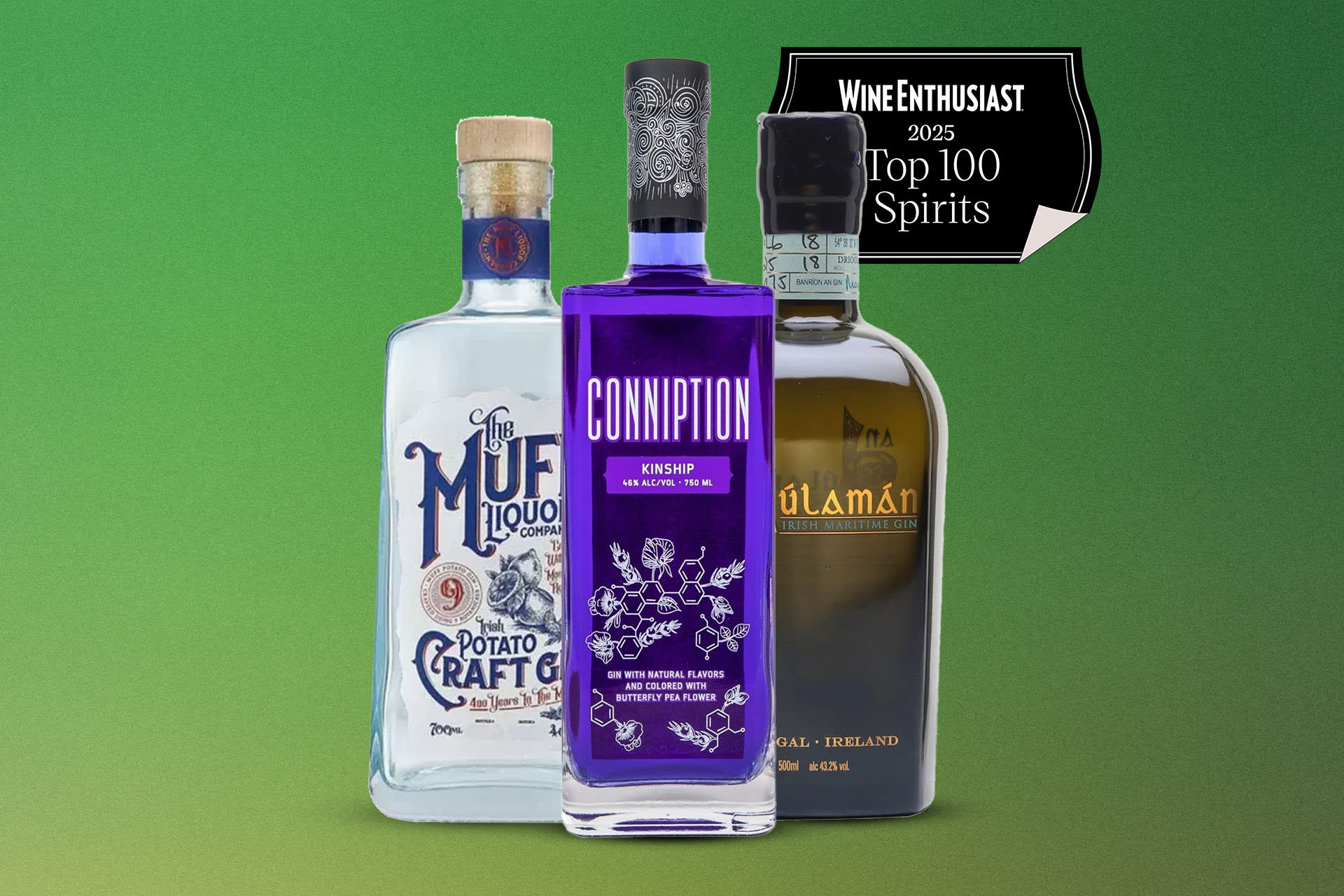 The Best Gin of 2025 | Wine Enthusiast