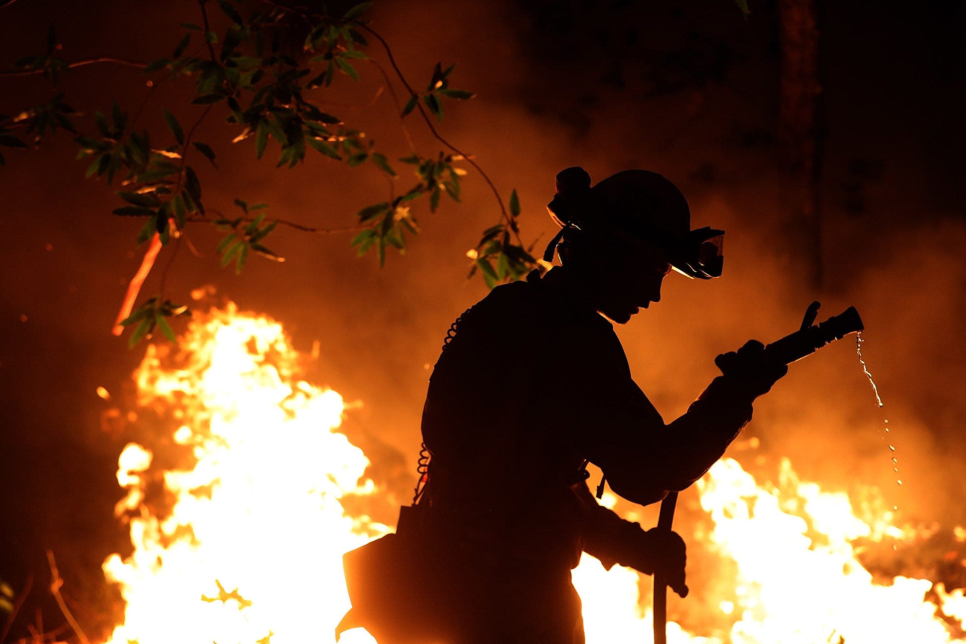 Immigration Officials Suspend Activity in Northern California Wildfire ...