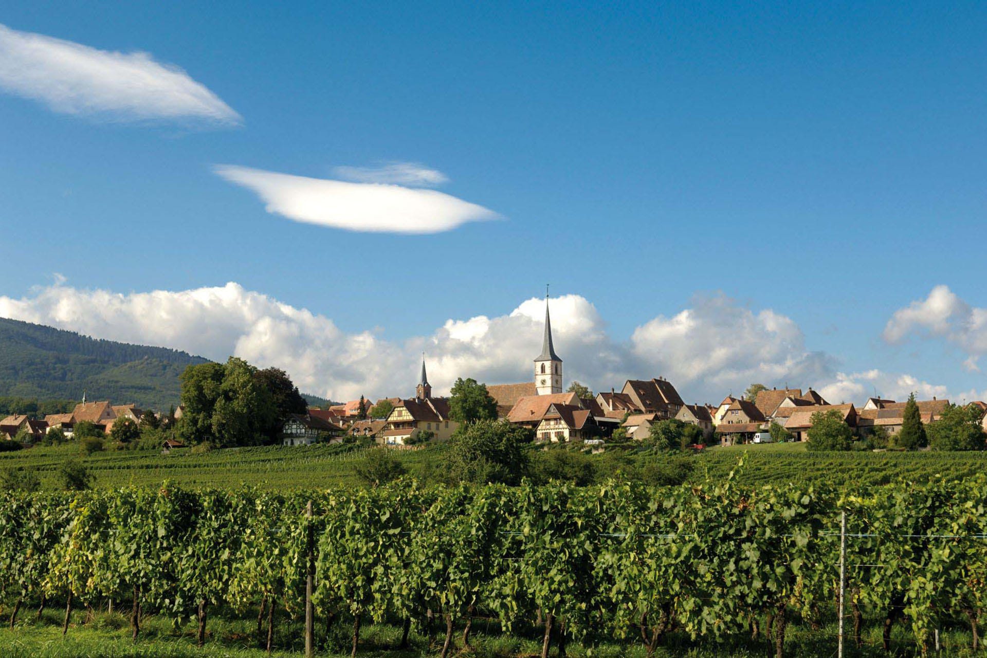 The Best Wineries to Visit in Alsace | Wine Enthusiast