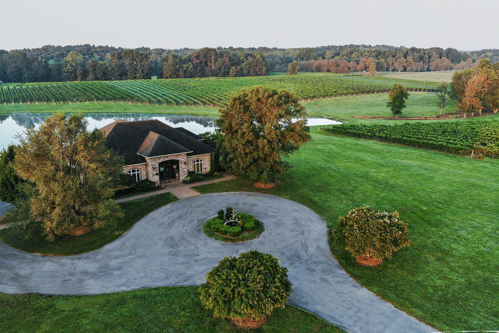 The Best North Carolina Wineries to Visit | Wine Enthusiast