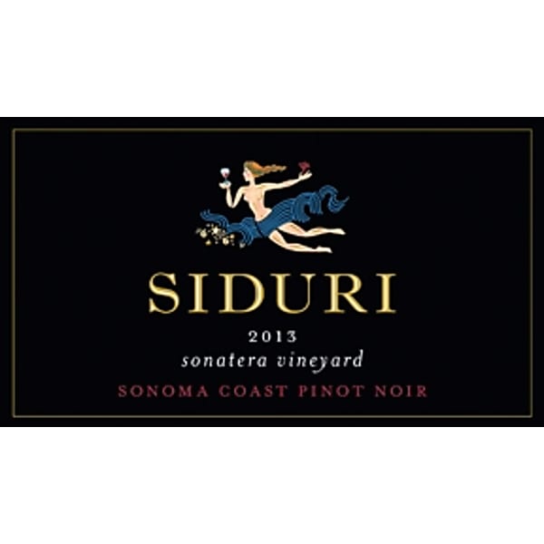 Siduri 2022 Pinot Noir (Willamette Valley) Rating and Review | Wine ...