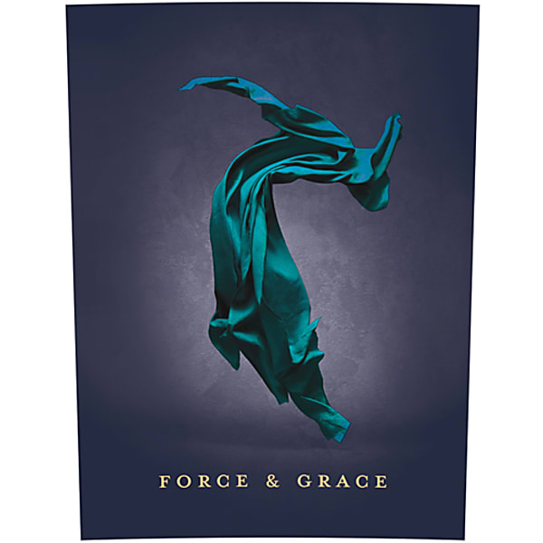 Force & Grace 2021 Cabernet Sauvignon (Oakville) Rating and Review ...