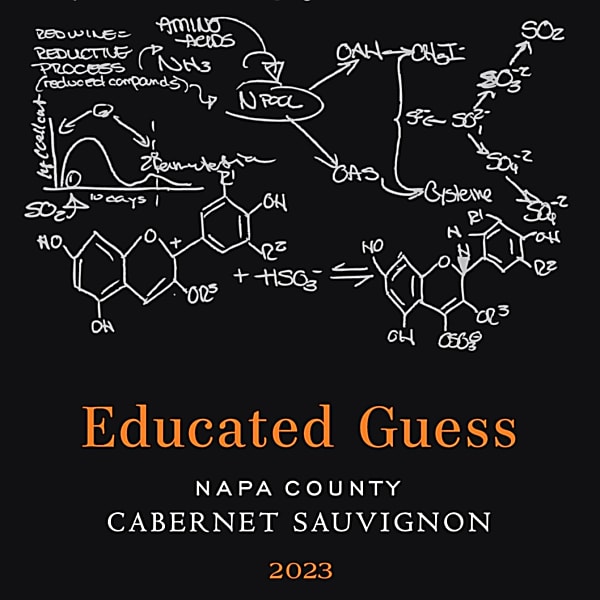 Educated Guess 2021 Cabernet Sauvignon (California) Rating and Review ...