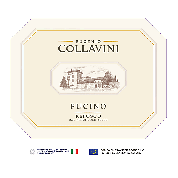 Feudo Maccari 2022 Saia Nero d'Avola (Sicilia) Rating and Review | Wine ...