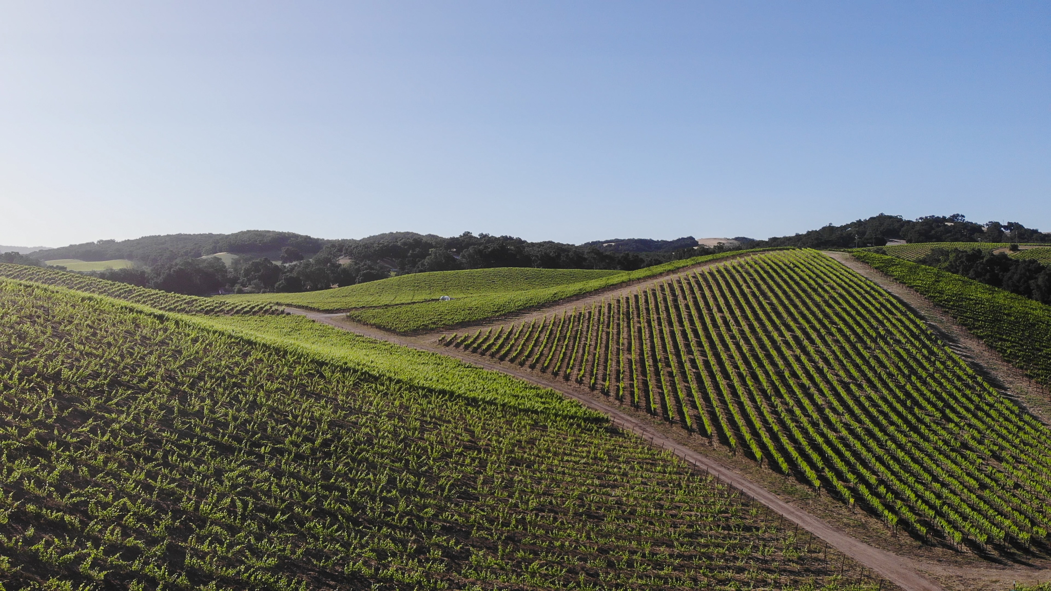 Denner Vineyards | Wine Enthusiast
