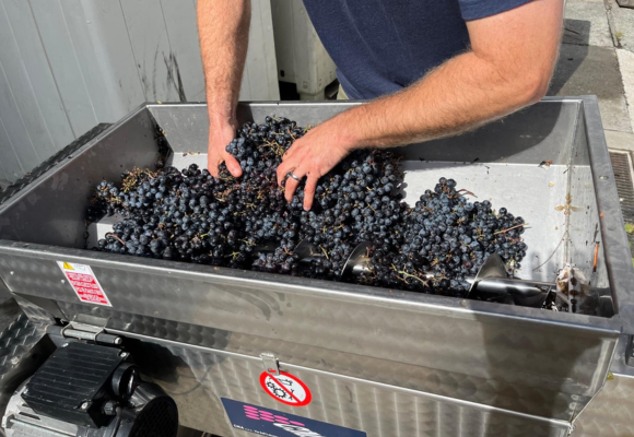 Quartz Rock Vineyard | Wine Enthusiast