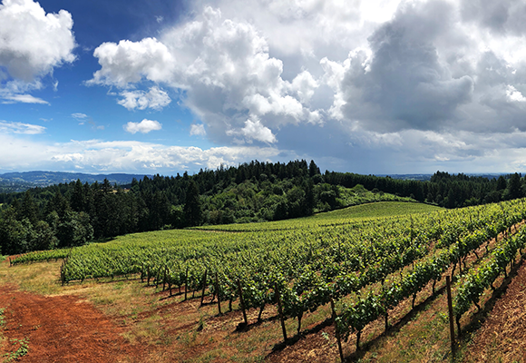Lange Estate Winery & Vineyards | Wine Enthusiast
