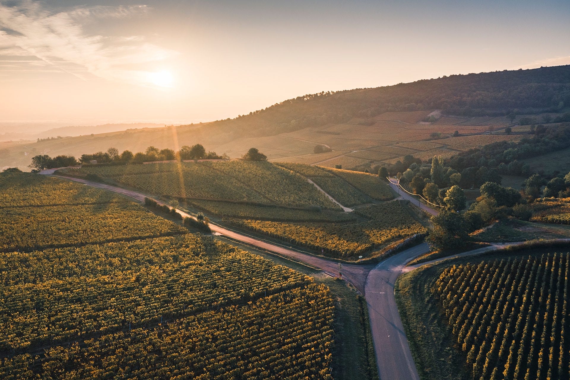 Burgundy Wine Region | Wine Enthusiast