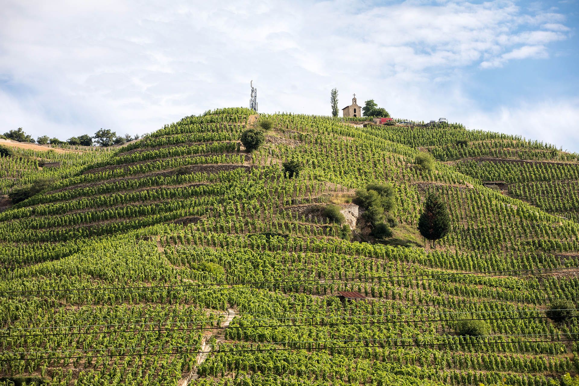 Rhône Valley Wine Region | Wine Enthusiast