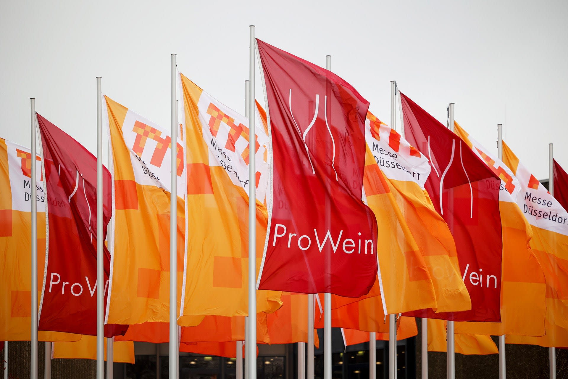 The Big Takeaways from ProWein 2024 | Wine Enthusiast