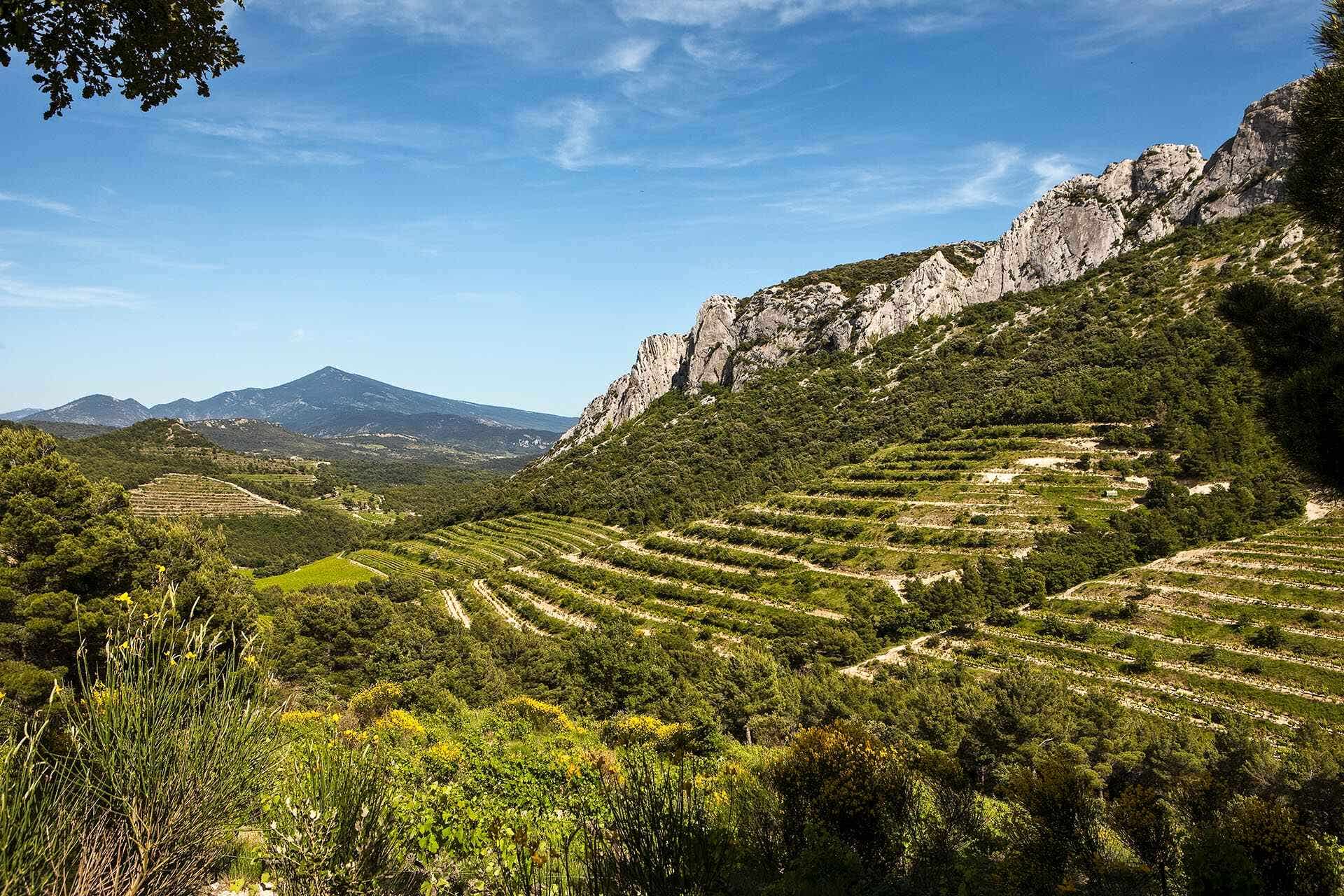 The Most Idyllic Villages of the Southern Rhône | Wine Enthusiast