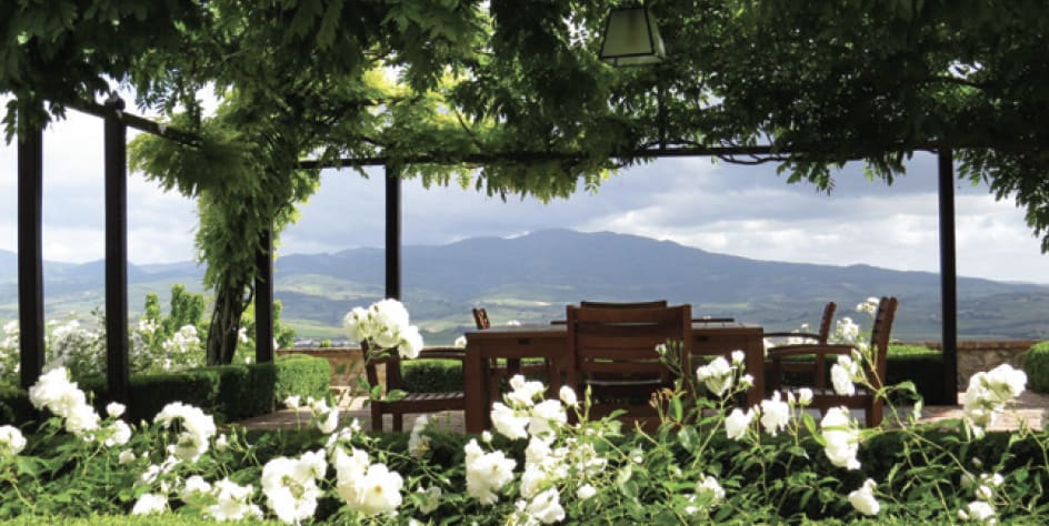 BANFI for a better wine world | Wine Enthusiast