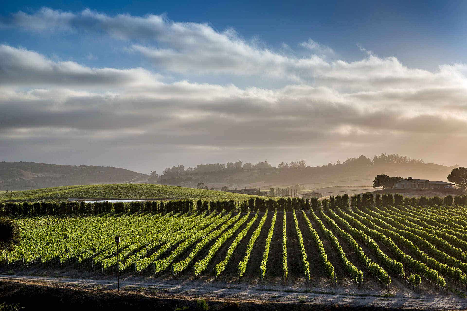 Sta. Rita Hills Is More Than Just Pinot-Land | Wine Enthusiast