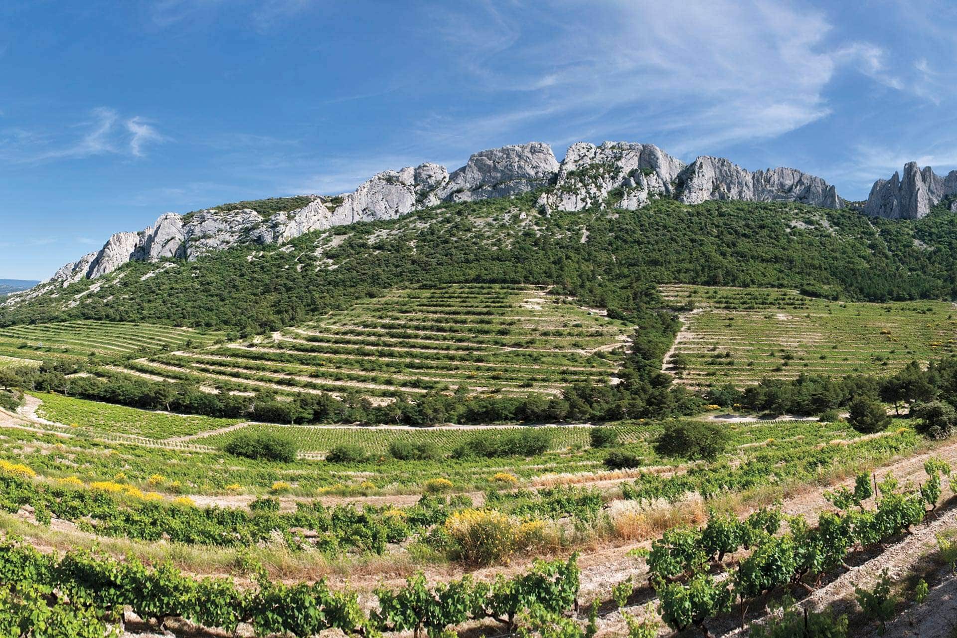 Due to Climate Change, This French Wine Region Embraces New Heights ...