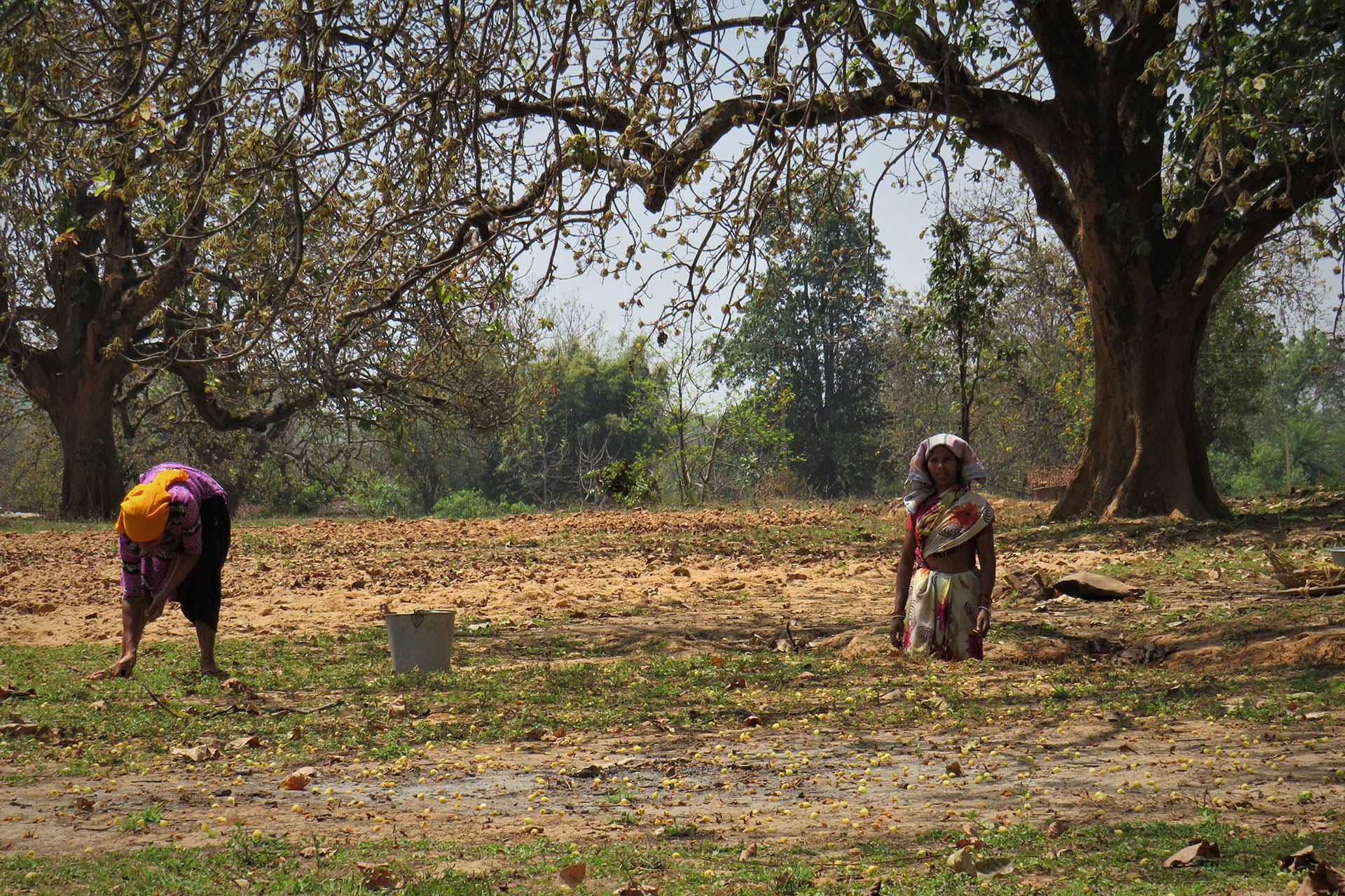 Tradition, Oppression and Resilience is in Every Pour of this Indian ...