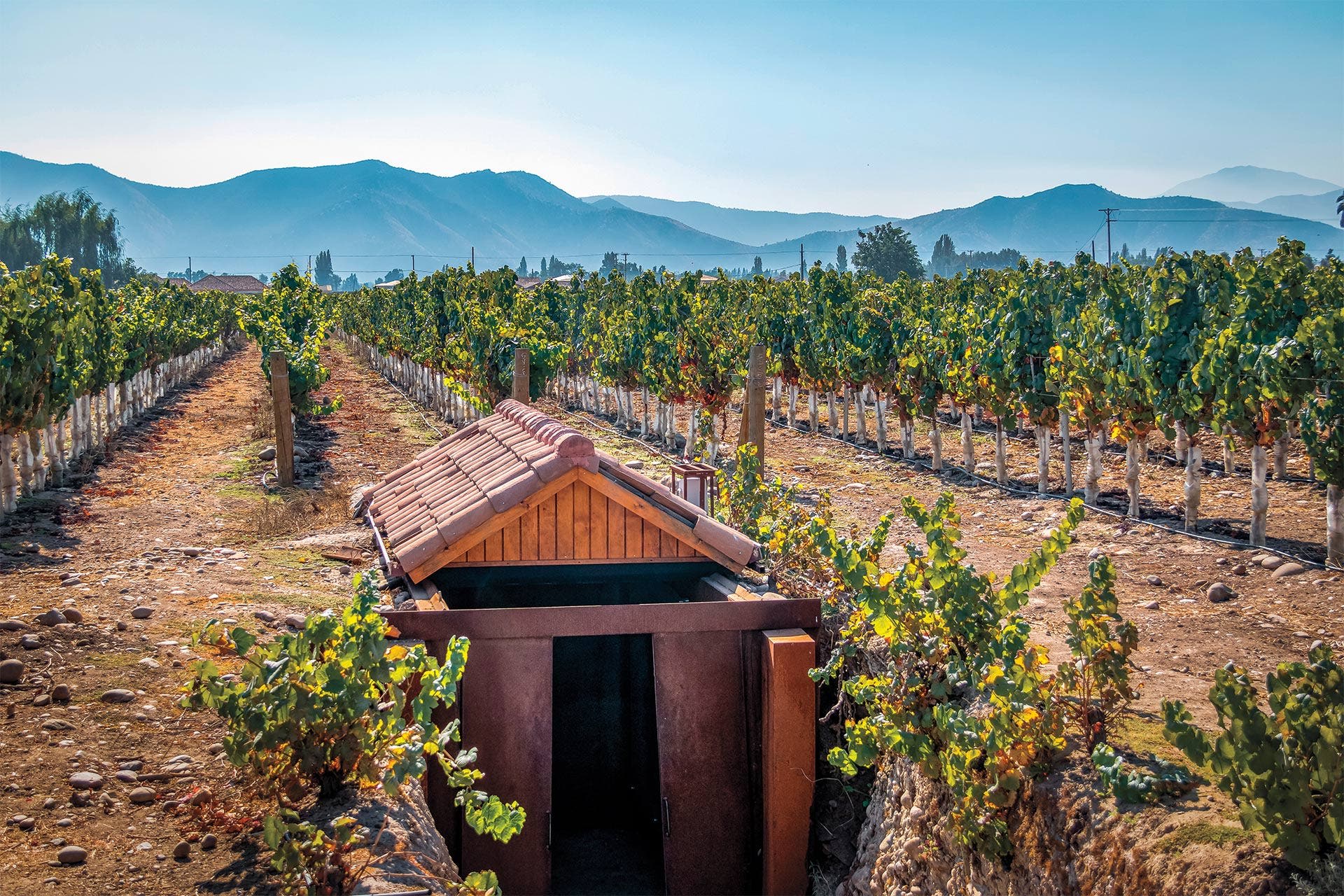 Chile's Cabernet Country is Ripe with Winemaking Innovation | Wine ...