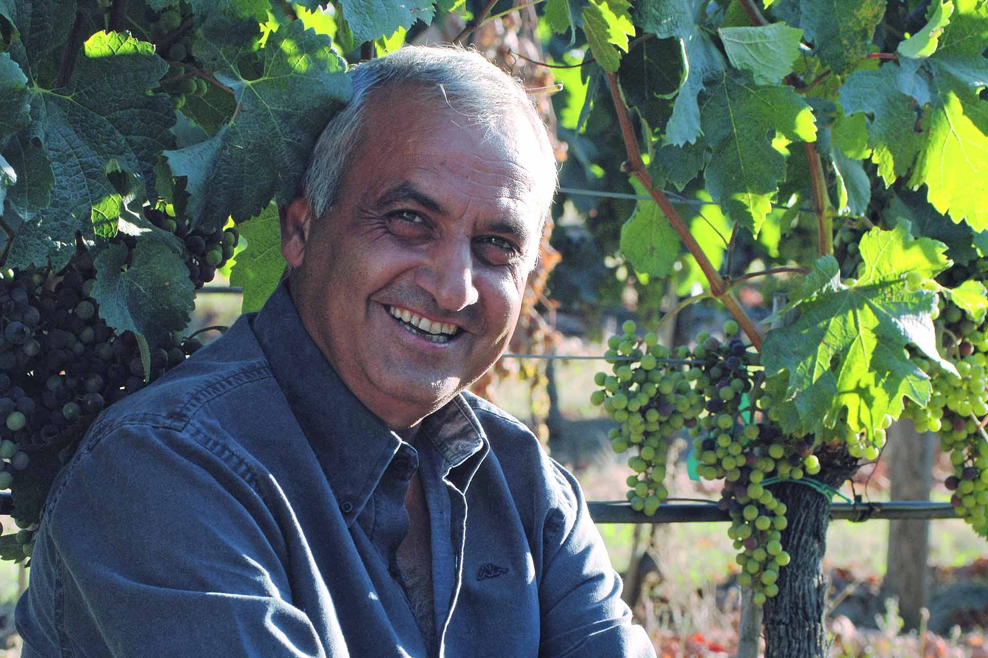 How Anyone Can Be a Vineyard Manager | Wine Enthusiast