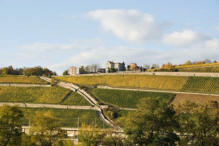 Iconic German Vineyards: A guide to some of Germany’s great vineyard ...