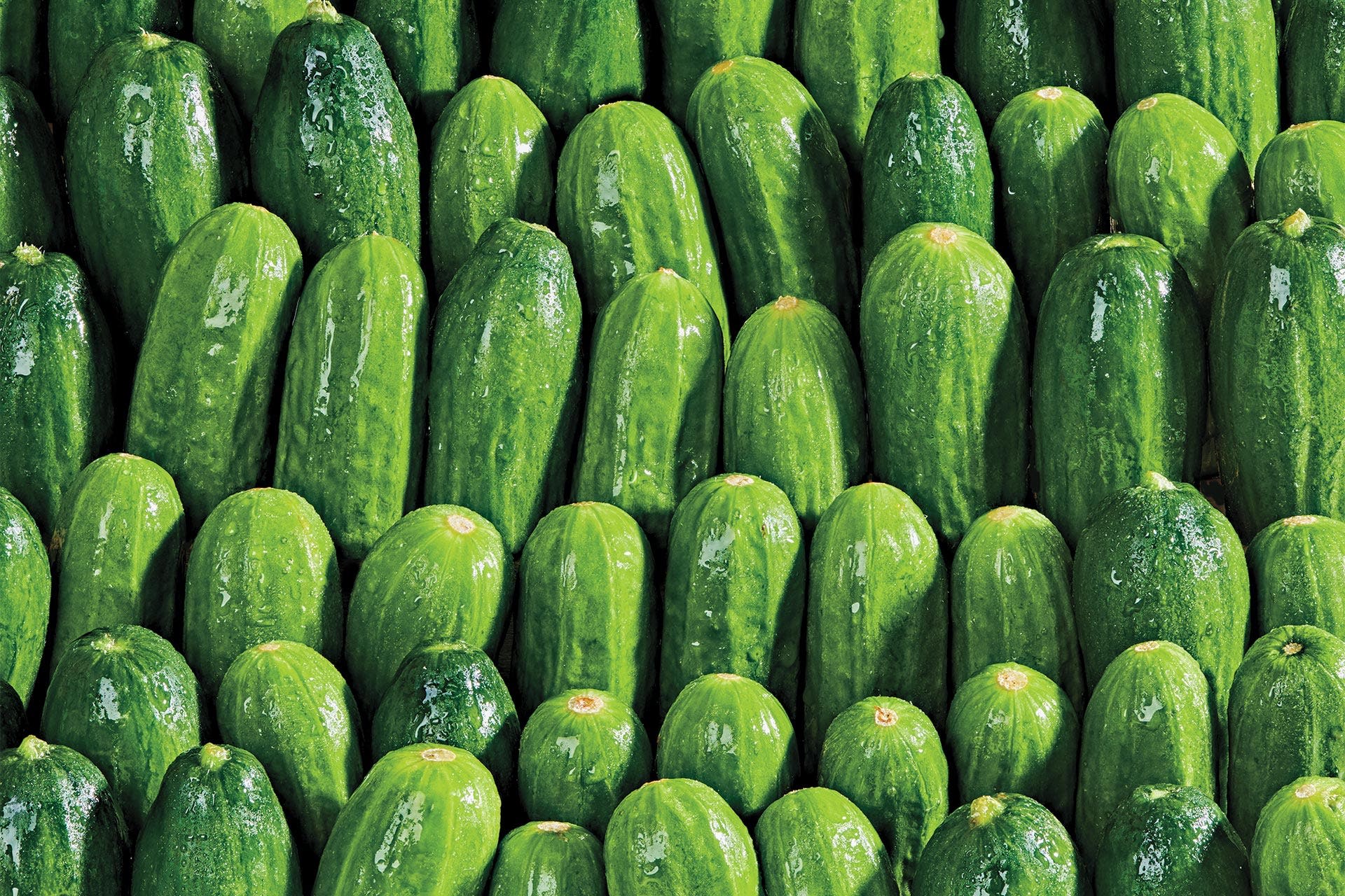 In Sandwiches or Salads, Cucumbers are a Surprisingly Wine-Friendly ...