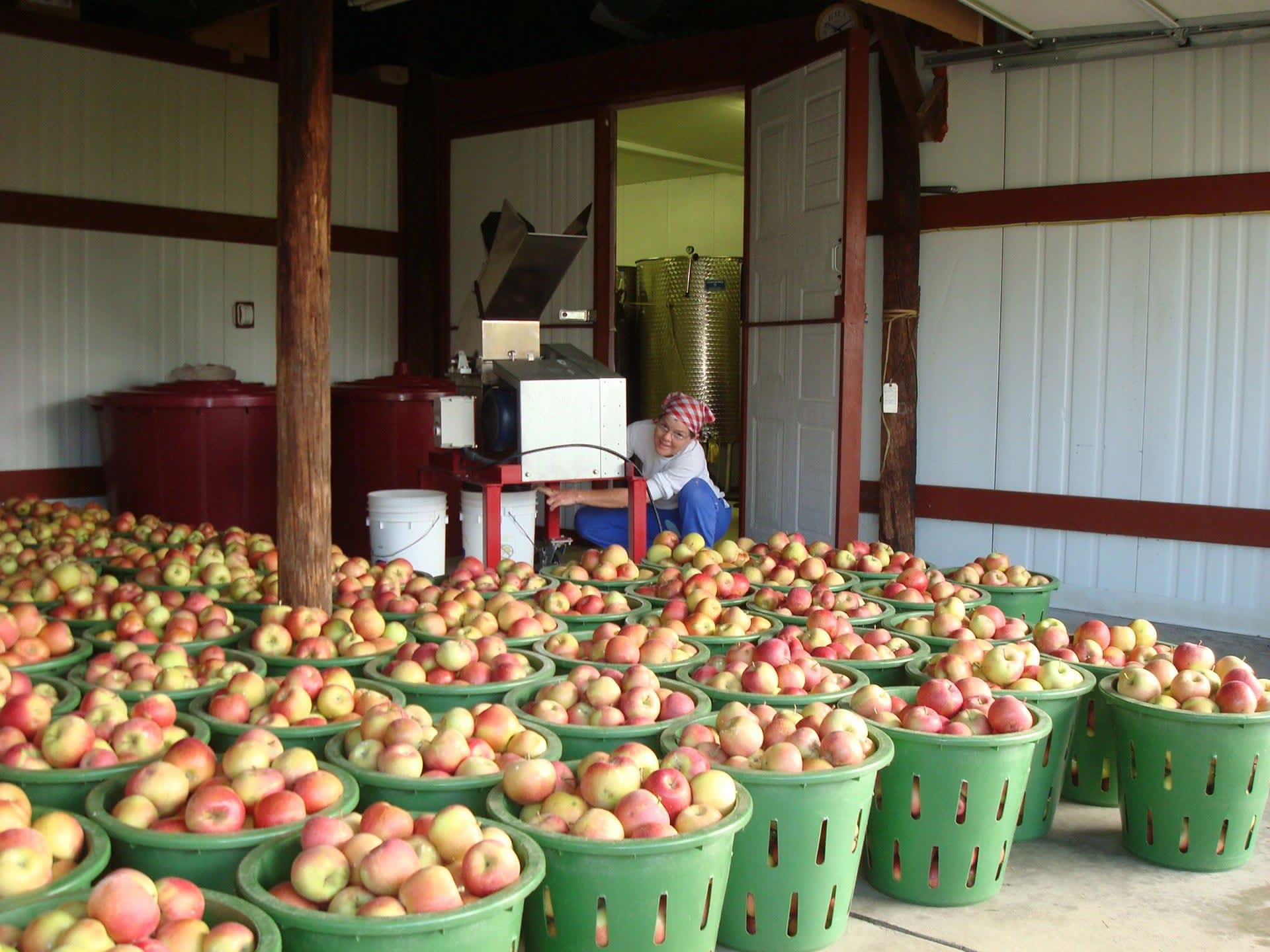 Local Crops and Balanced Flavors: Meet the New Generation of Fruit Wine ...