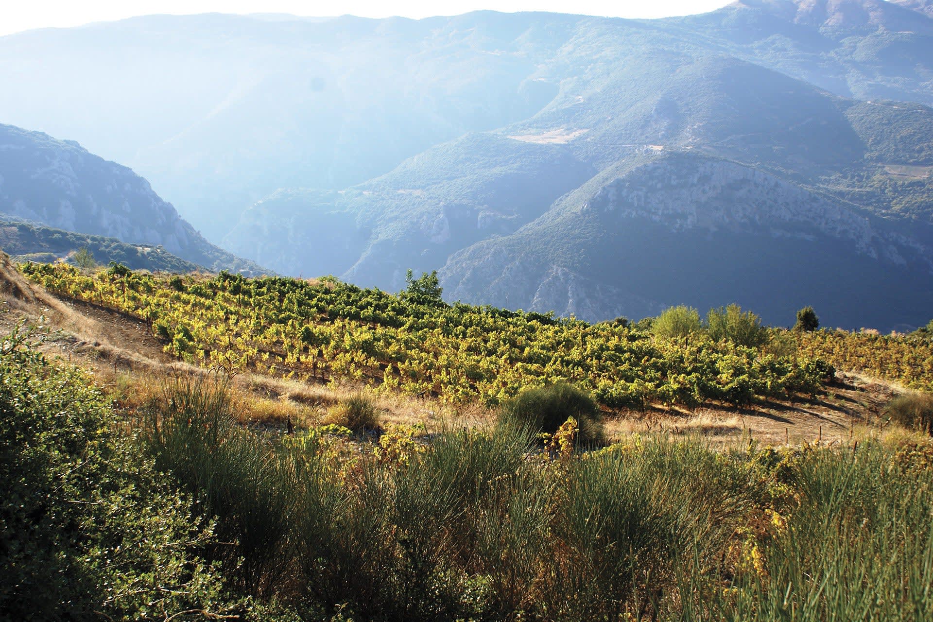 The High-Altitude Vineyards of Greece | Wine Enthusiast