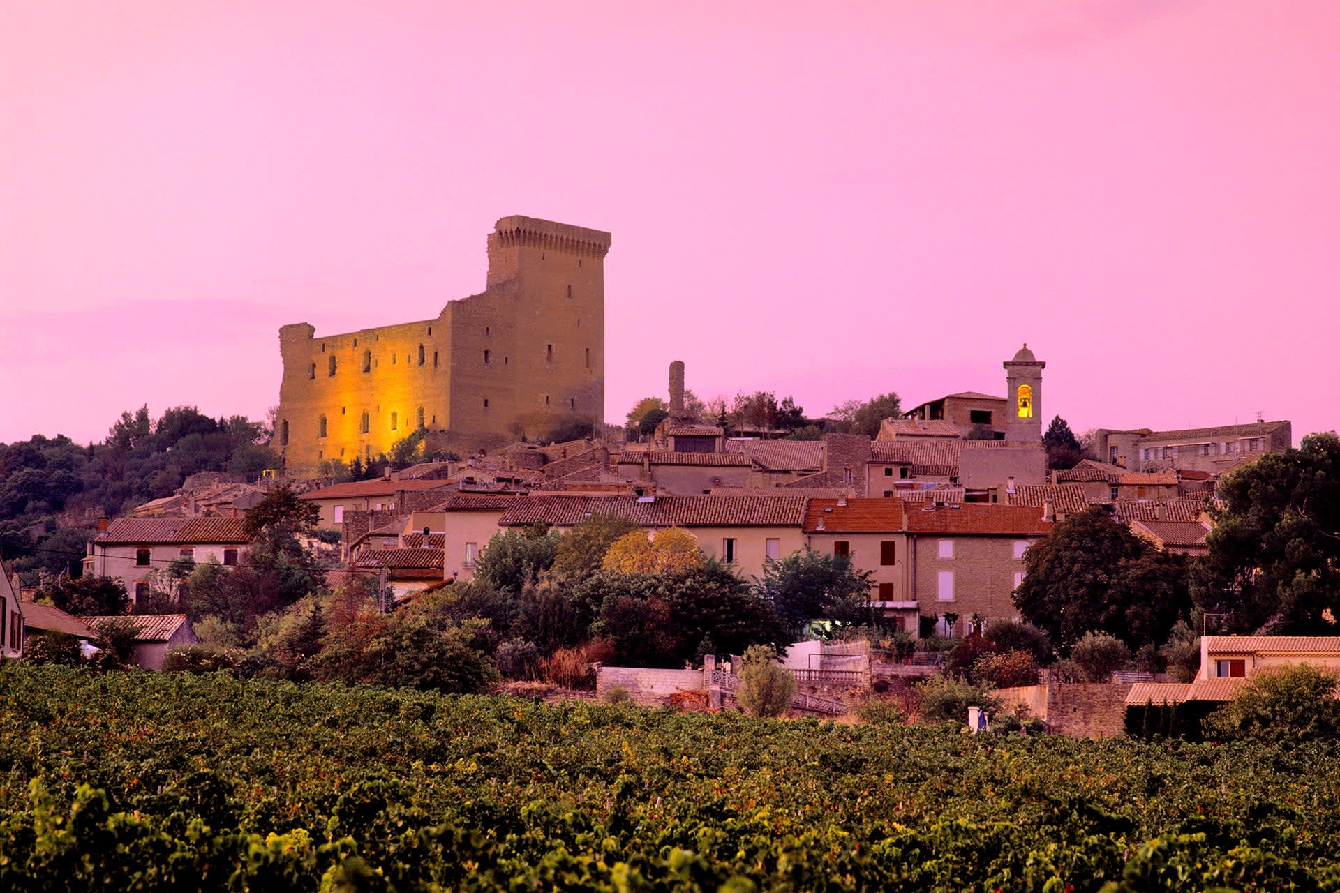 A Guide to the Wines of the Southern Rhône | Wine Enthusiast