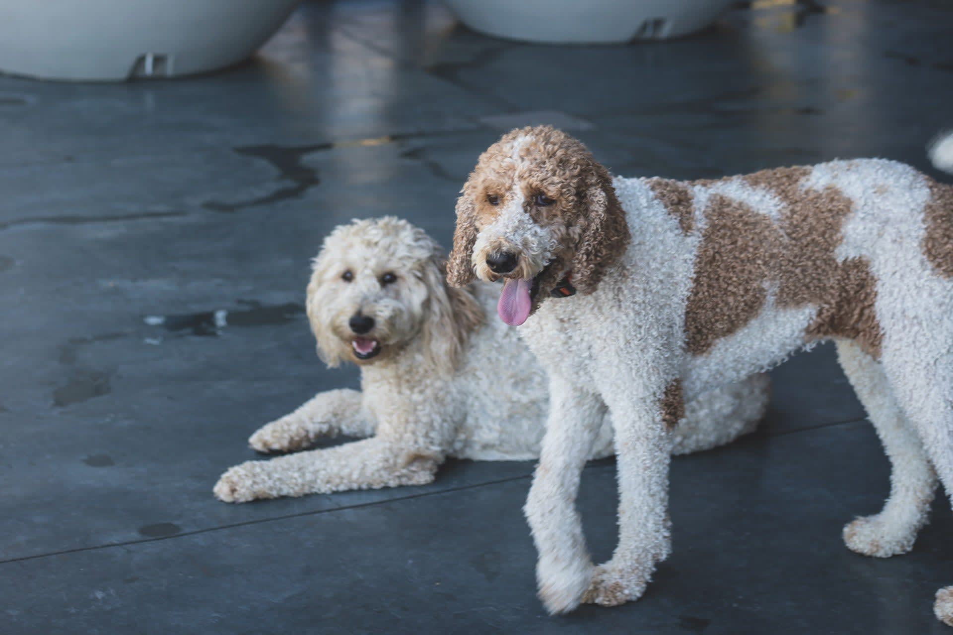 A Guide to the Best Napa Valley Cabernet Sauvignon | Wine Enthusiast