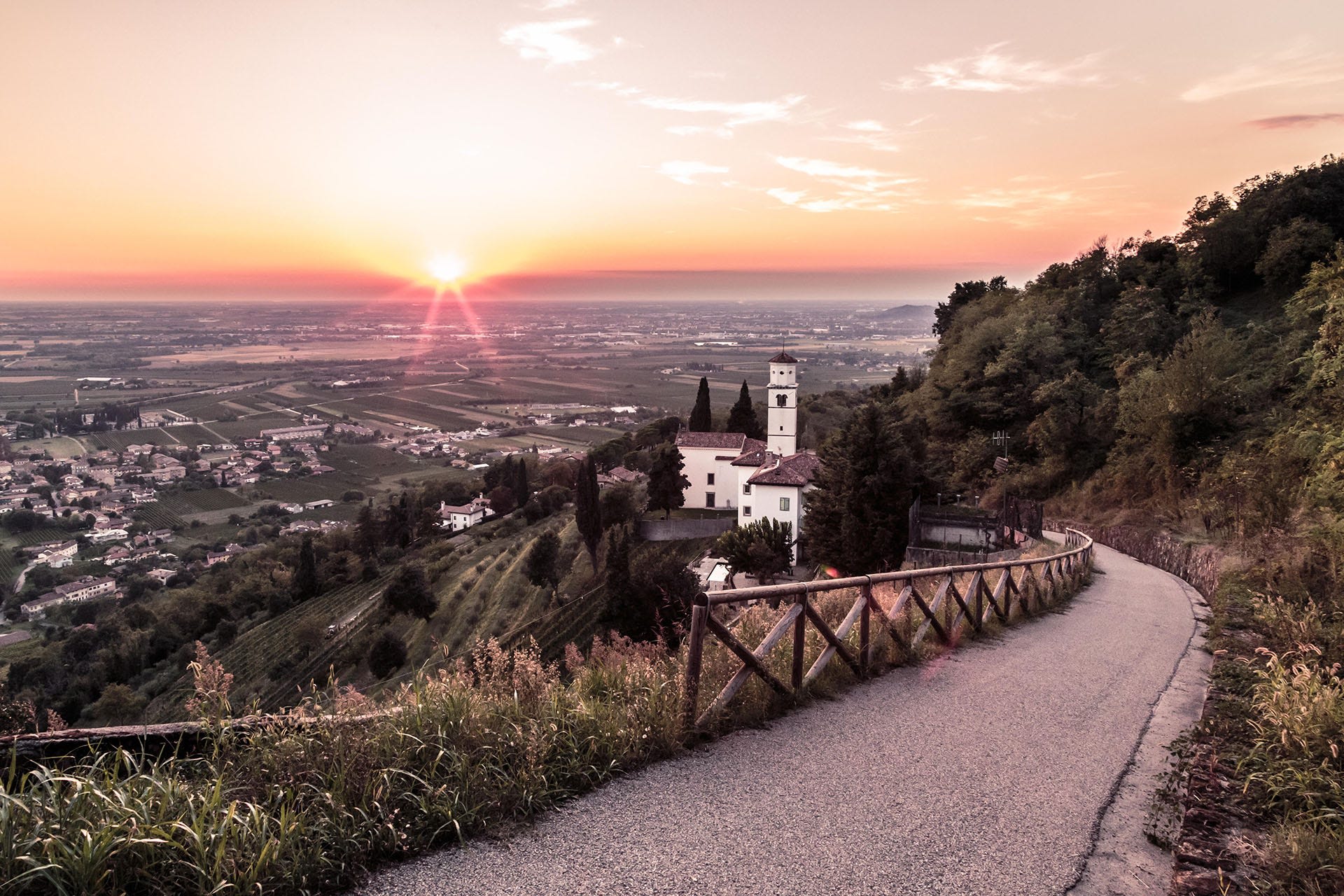 The Elegant White Wines of Collio, Italy | Wine Enthusiast