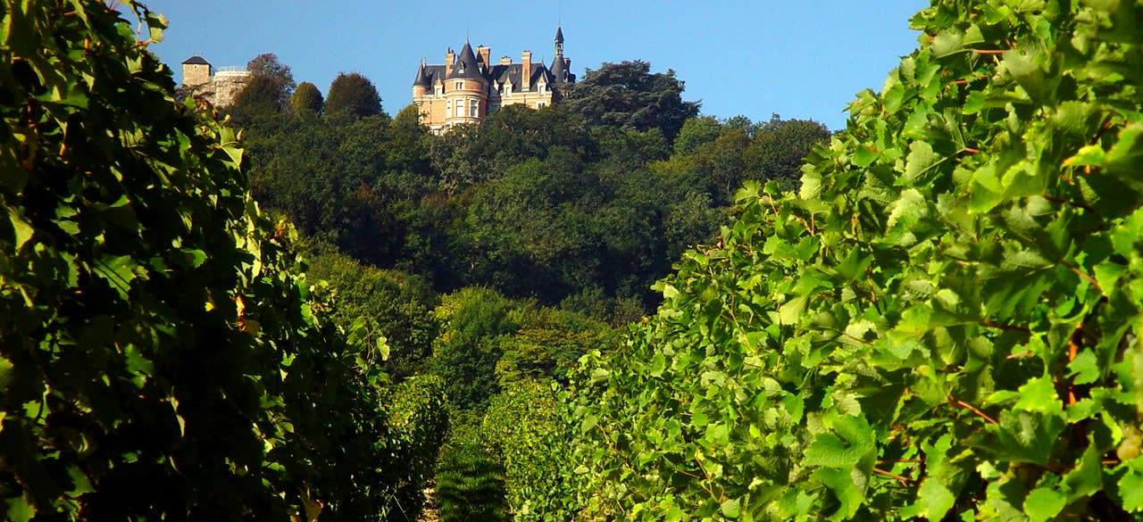 Campari Abandons Still Wine, Sells French Château for Nearly $23 ...