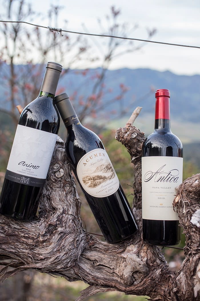 Mastering Napa Valley's Mountain Appellations | Wine Enthusiast Magazine