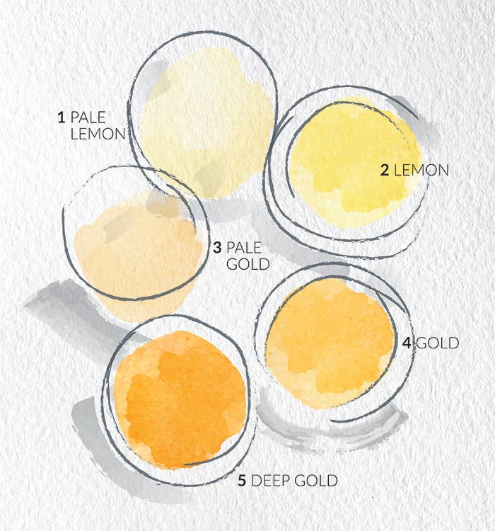 Learning Wines by Color | Wine Enthusiast