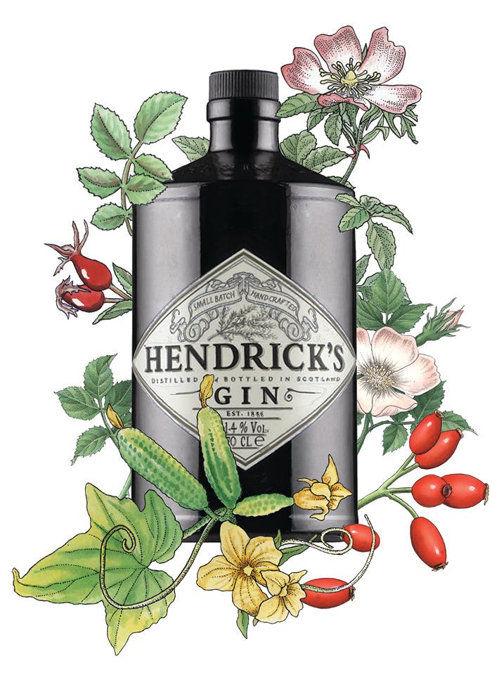 Gin Botanicals, Decoded | Wine Enthusiast