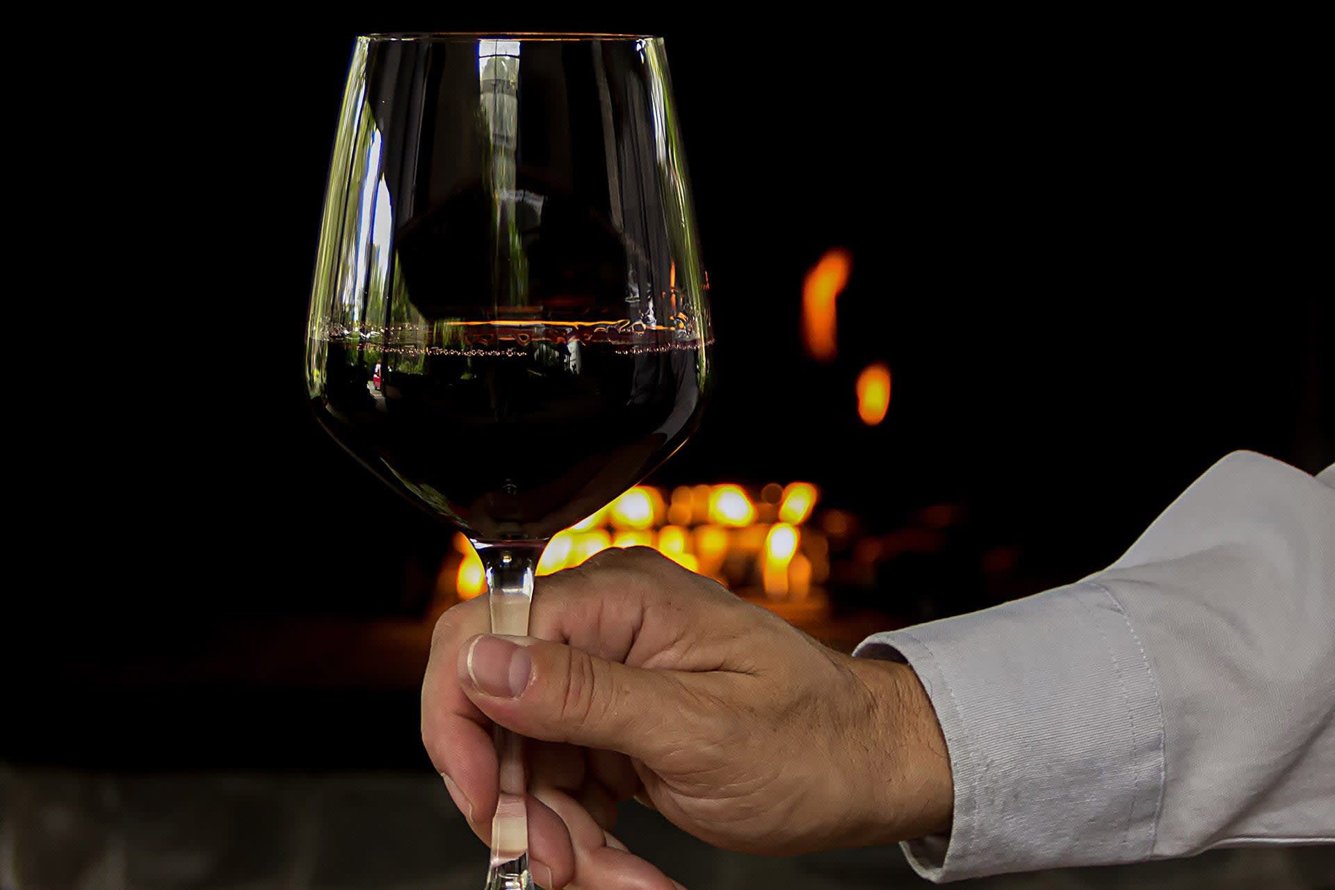 Wine Information for Beginners - Beginners Wine Guide