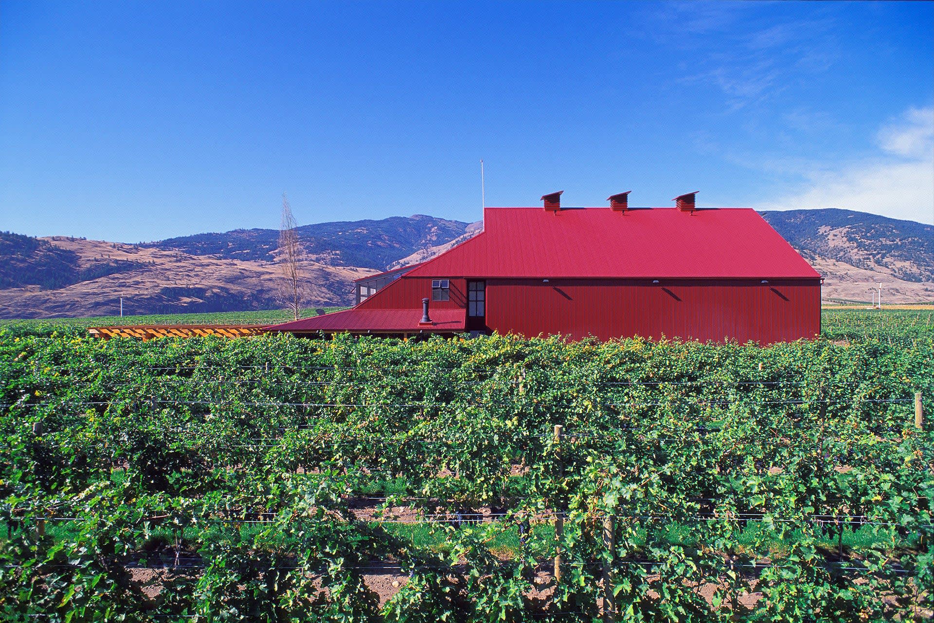 Tasting Room Design Redefining the Winery Experience | Wine Enthusiast ...