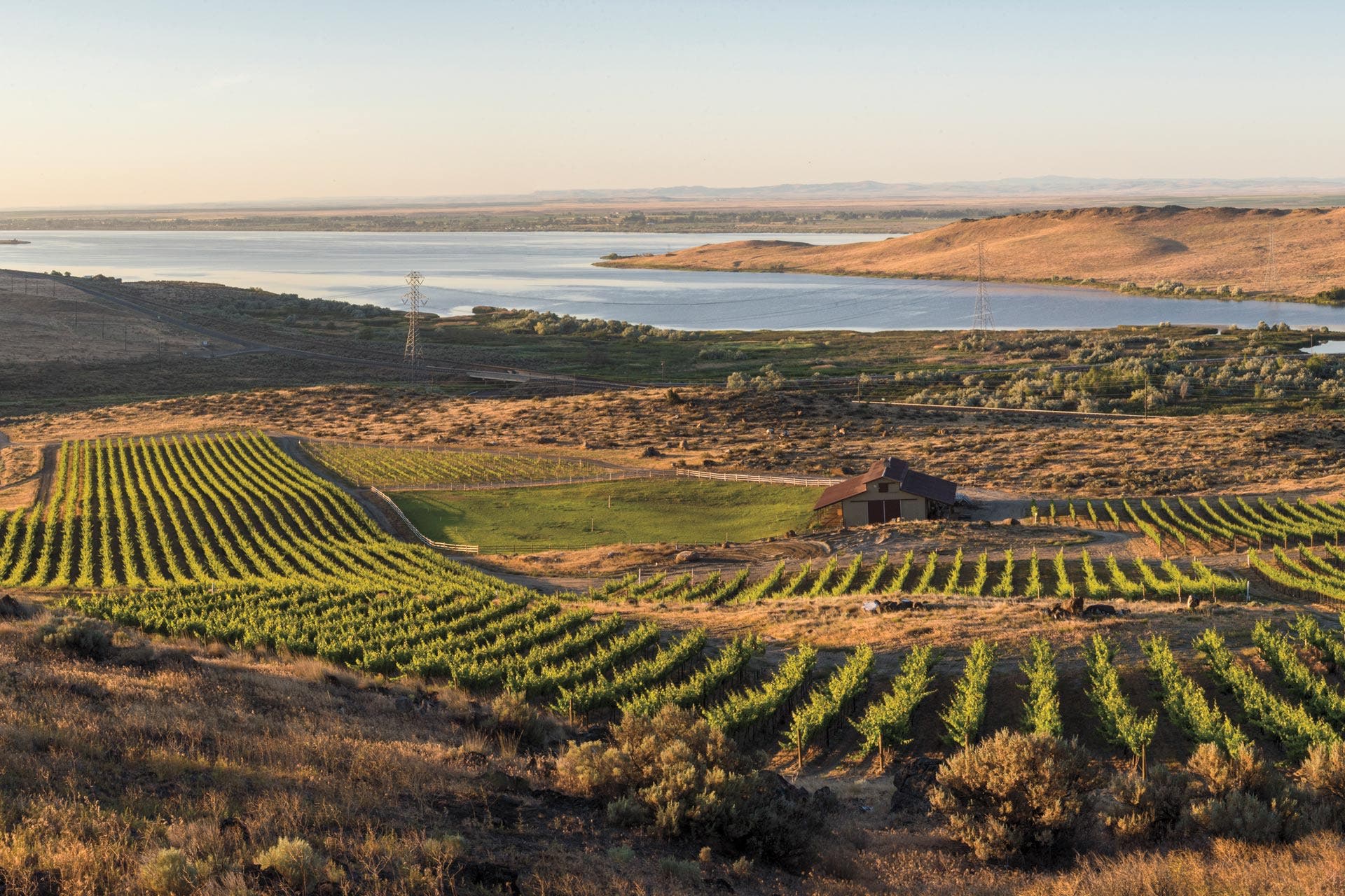 Horse Heaven Hills, A Washington Wine Region on the Rise | Wine Enthusiast