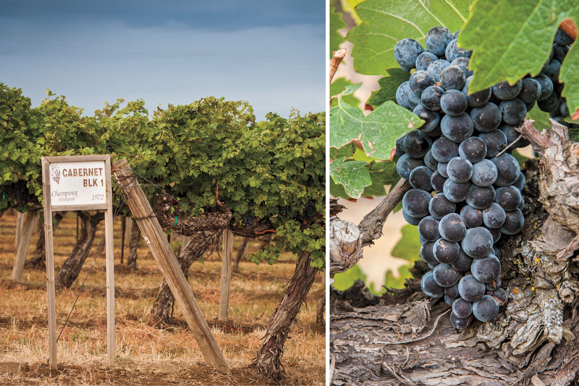 Horse Heaven Hills, A Washington Wine Region on the Rise | Wine Enthusiast