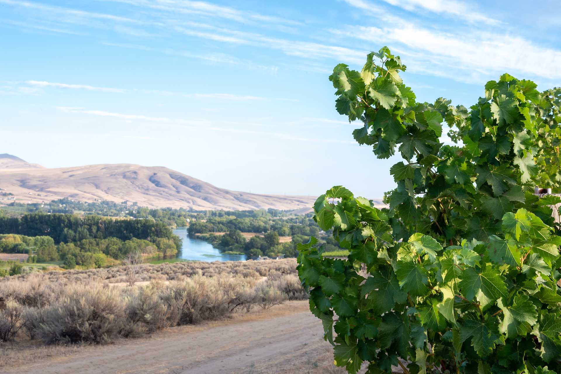 No Longer a Secret, Red Mountain Earns Its Place In the Spotlight ...