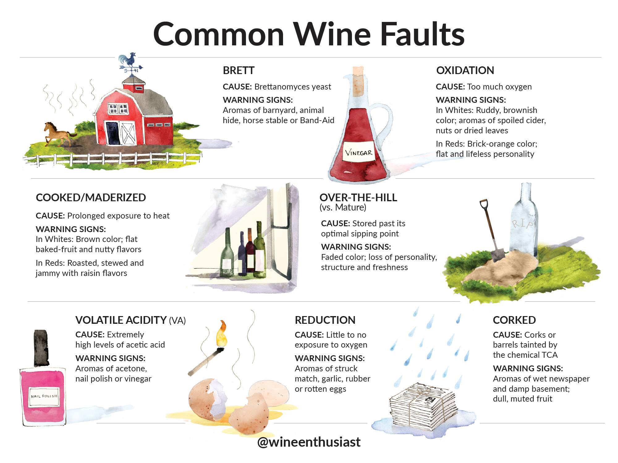 Wine Faults and How to Recognize Them | Wine Enthusiast