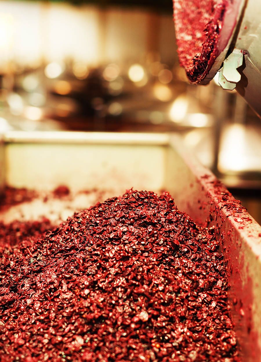 What are Tannins, Really? | Wine Enthusiast