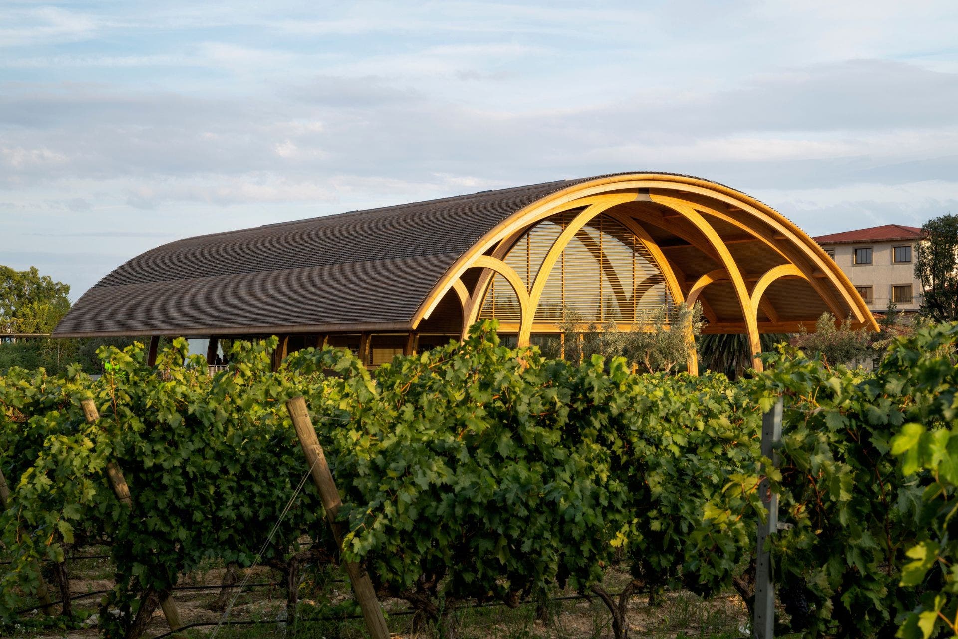 With Sustainability in Mind, Bodegas Faustino Steps into the Future ...