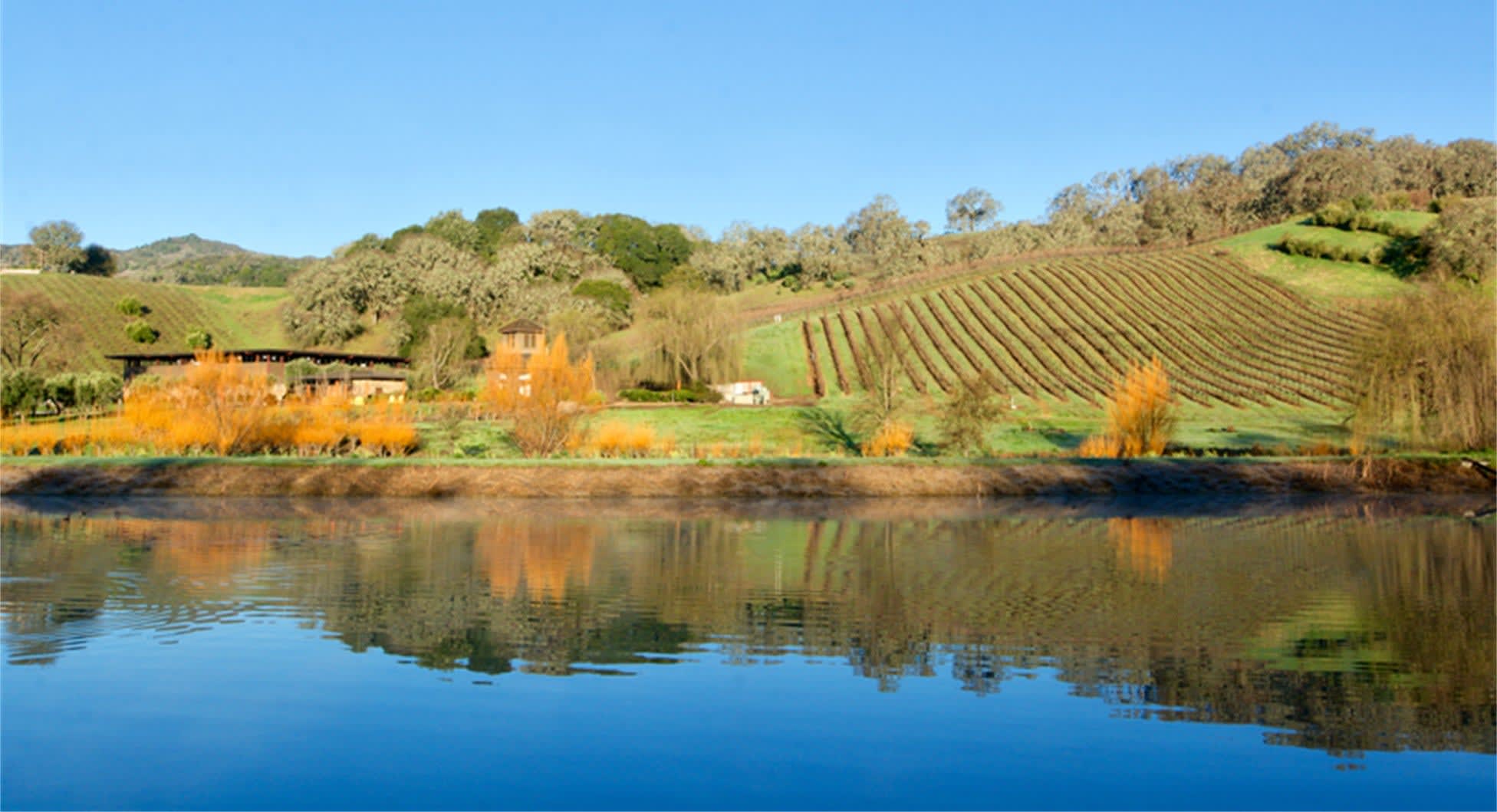 Saracina Vineyards | Wine Enthusiast