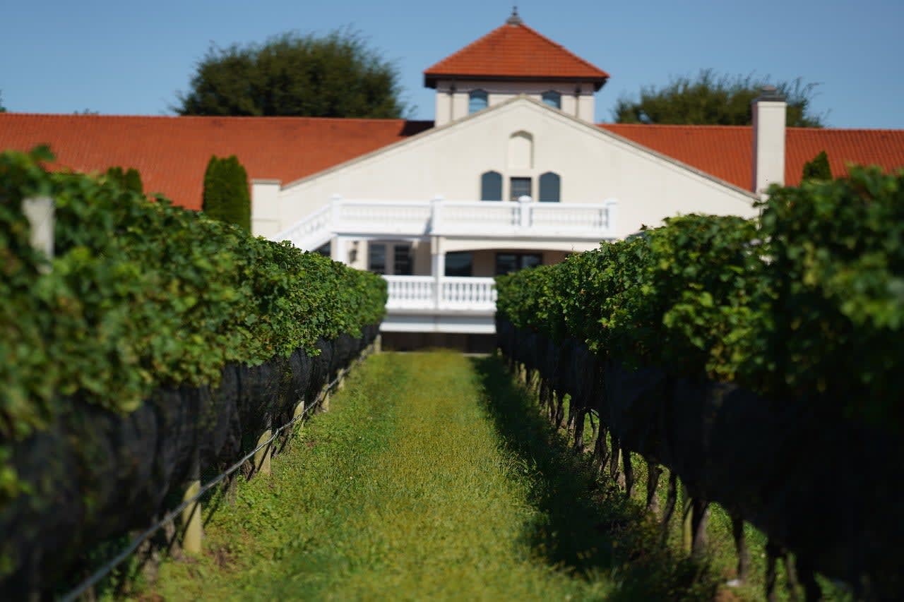 Raphael Vineyard & Winery | Wine Enthusiast