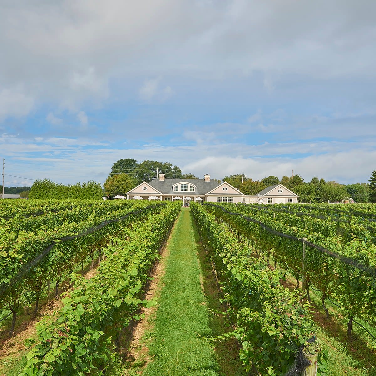 Sparkling Pointe | Wine Enthusiast