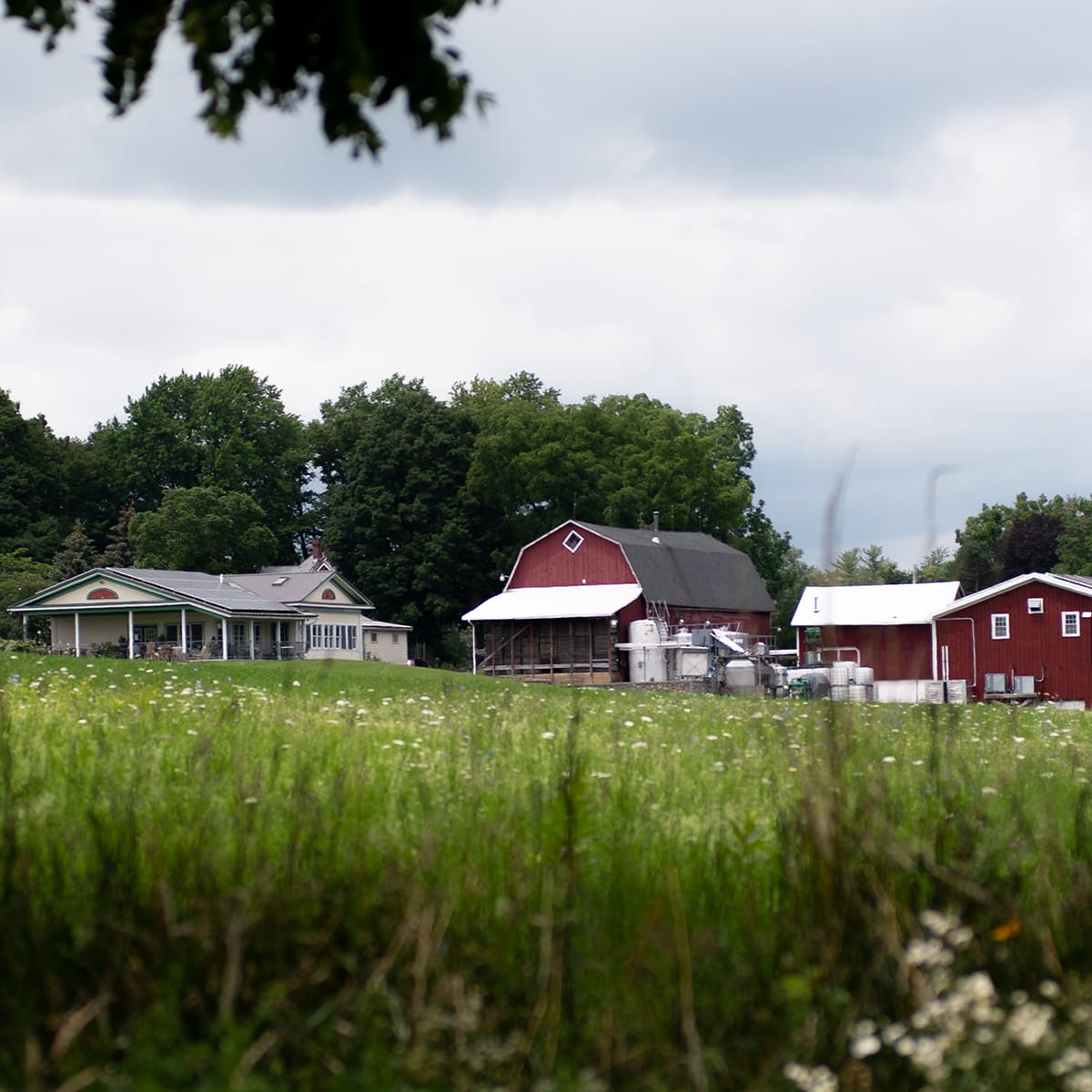 Hunt Country | Wine Enthusiast