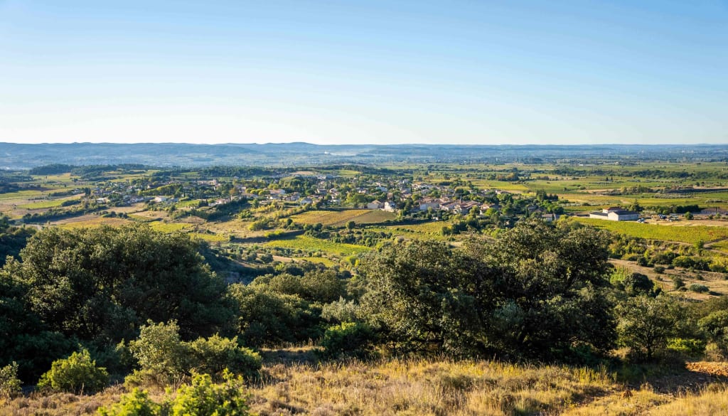 Exploring AOP Languedoc | Wine Enthusiast
