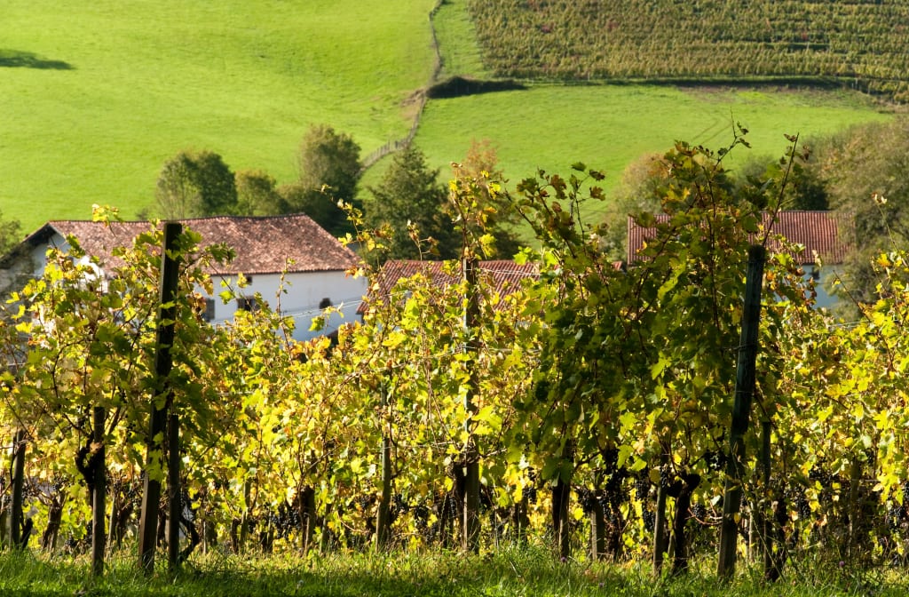 Taste, Discover, and Experience the Wines of Southwest France | Wine Enthusiast