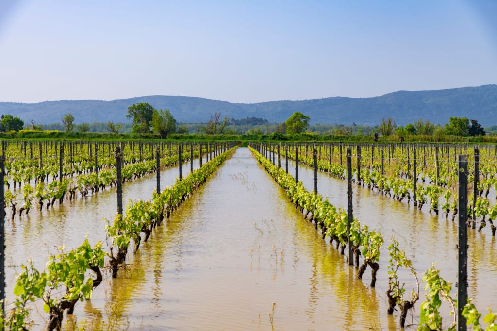 Les Domaines Paul Mas: Rural Luxury in Languedoc | Wine Enthusiast