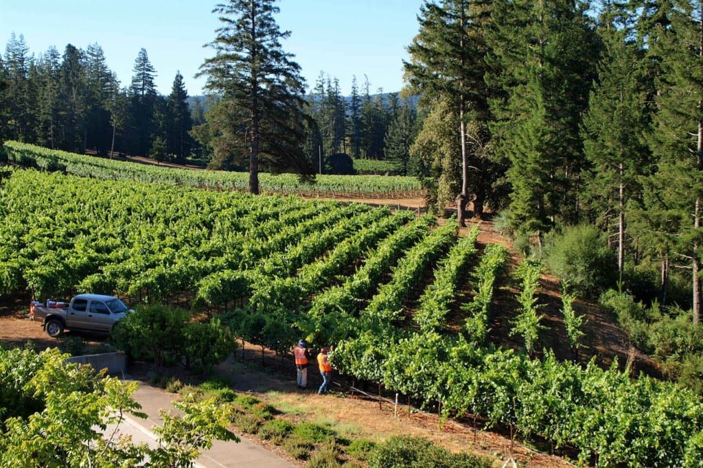 The Best Wineries to Visit in Anderson Valley | Wine Enthusiast