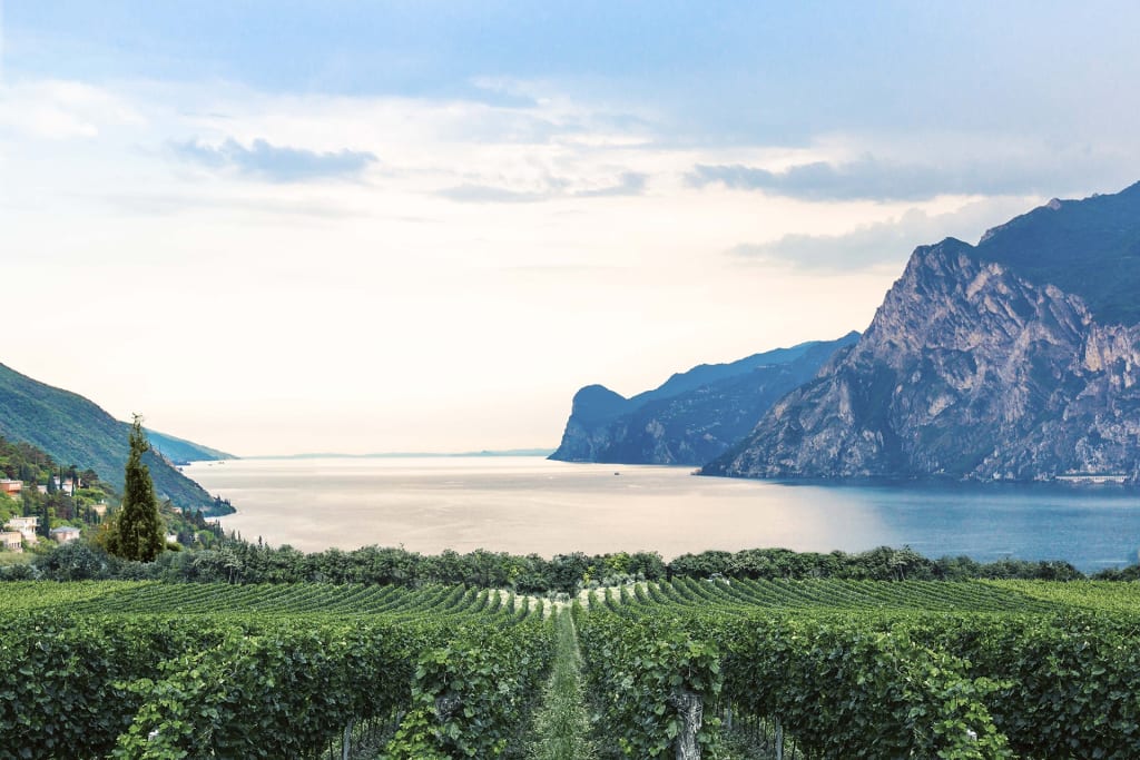 Garda | Wine Enthusiast