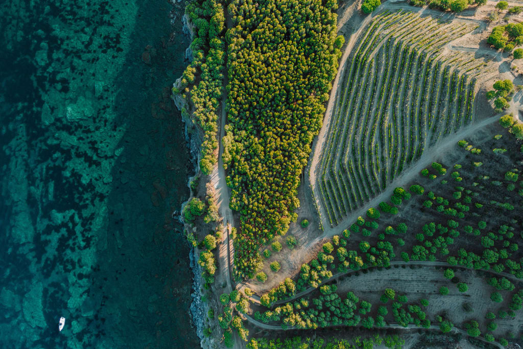 Discover Perelada: A Journey Through Time, Innovation and ...